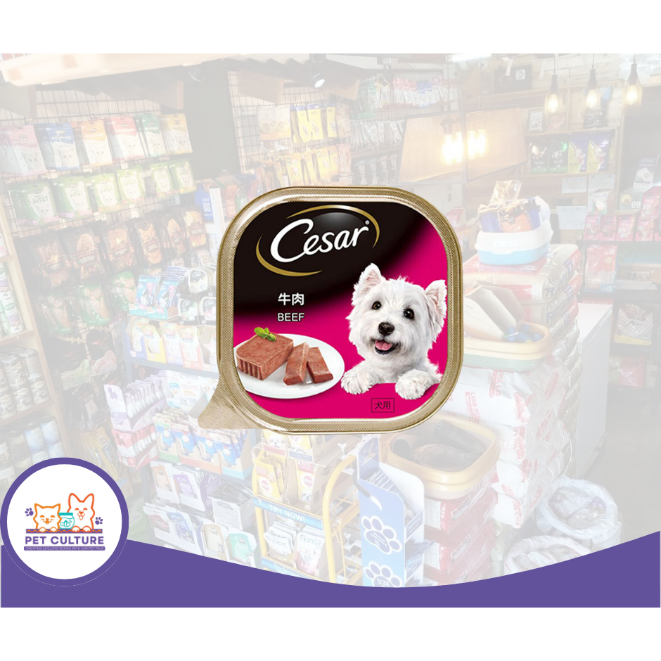 CESAR Dog Food Wet Beef Flavor 100g | Shopee Philippines