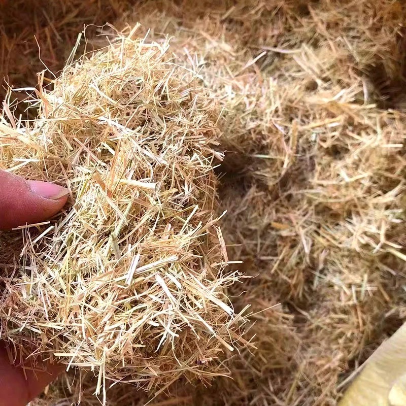 Bird Nest Hay Bird Jute Nesting Material Grass Fiber Bedding Pad for ...