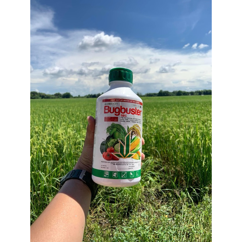 BUGBUSTER INSECTICIDE 5EC | Shopee Philippines