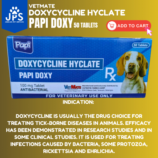 Papi Doxy 100mg Tablet Doxycycline Hyclate Antibacterial 1box/10pcs ...