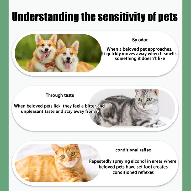 Cat repellent spray 500ML Anti poop spray cat Cat deterrent outdoor Pet ...