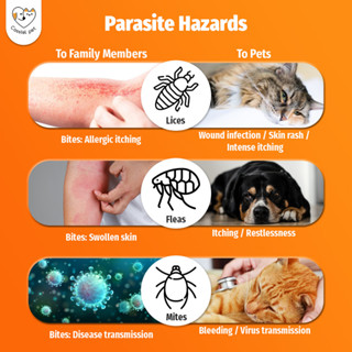 Cassiel Pet Herbal Ivermectin Tick And Flea Remover Spray For Dogs ...