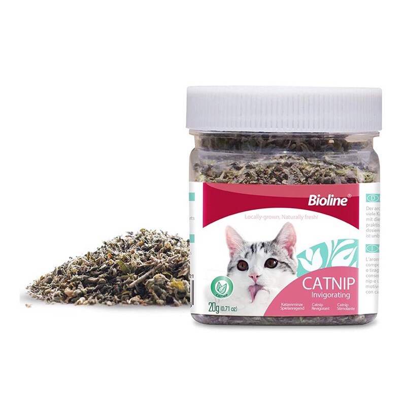 Catnip treats for cats 25g and 20g | Shopee Philippines