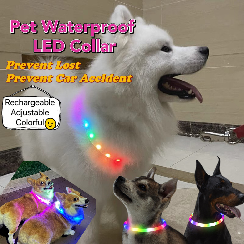 Pet LED Collar Night Flashing Luminous USB Rechargeable Puppy Dog Cat ...