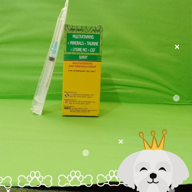 SORVIT Syrup Multivitamins and Mineral 120ml with Free Syringe | Shopee ...