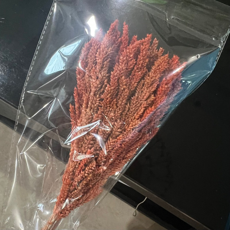 Dried Trigo Grass(LOCAL) | Shopee Philippines