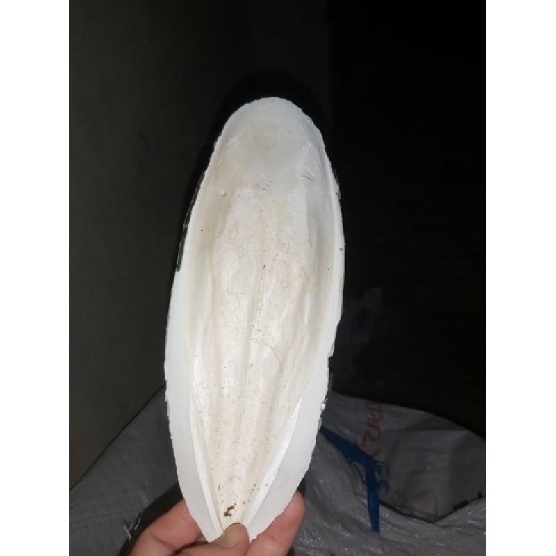 CUTTLEBONES FOR BIRDS | Shopee Philippines