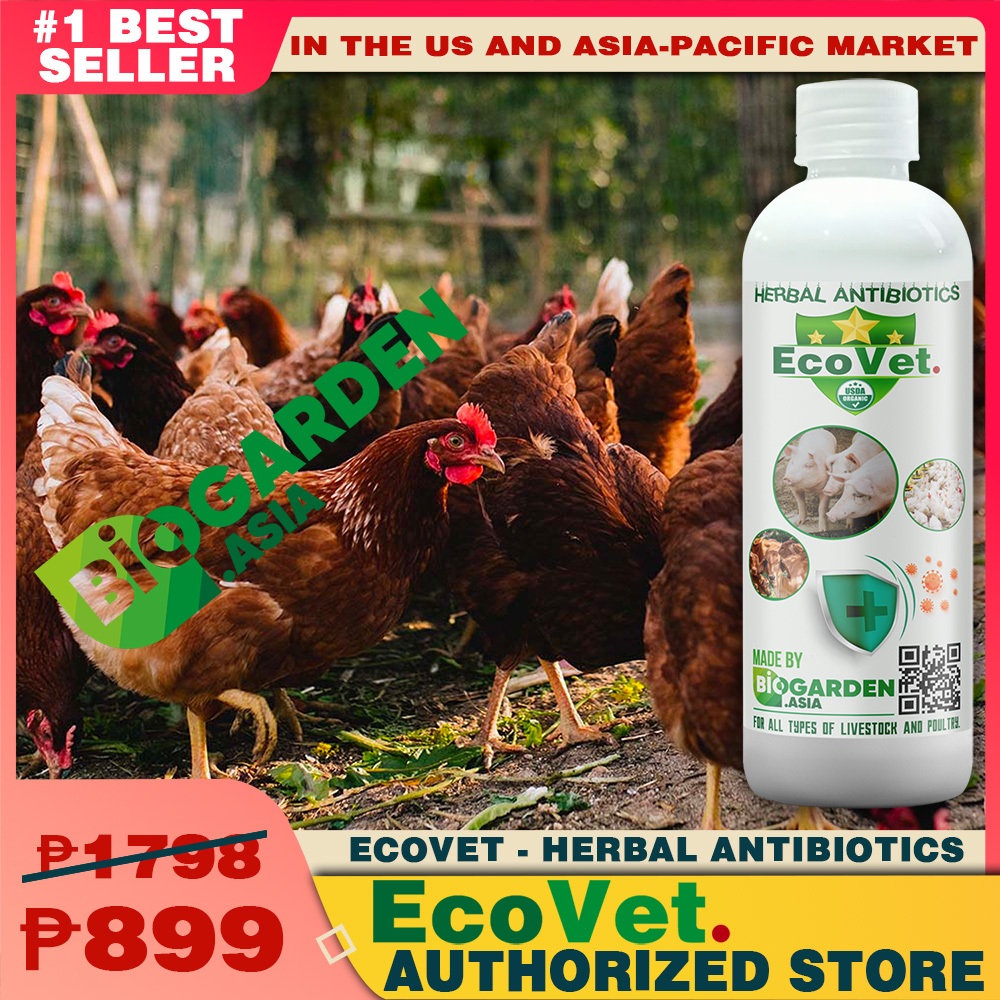 Ecovet - Pulbos na Suplemento ng Probiotic, Mahalagang Nutrisyon para ...