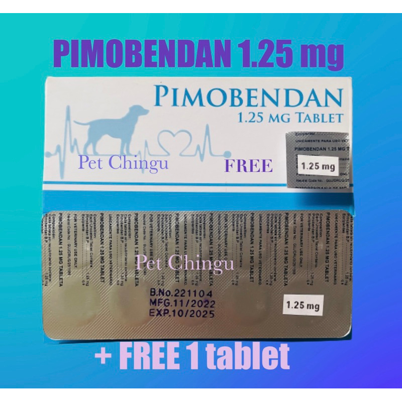 10+1 FREE PIMOBENDAN 1.25 mg for Dogs (Exp: Feb 2027) with FREE Dog ...