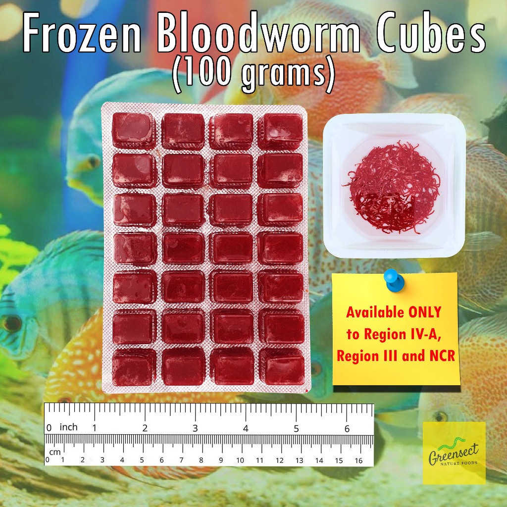 FROZEN BLOODWORM CUBES (WHOLESALE) fish food pet food | Shopee Philippines