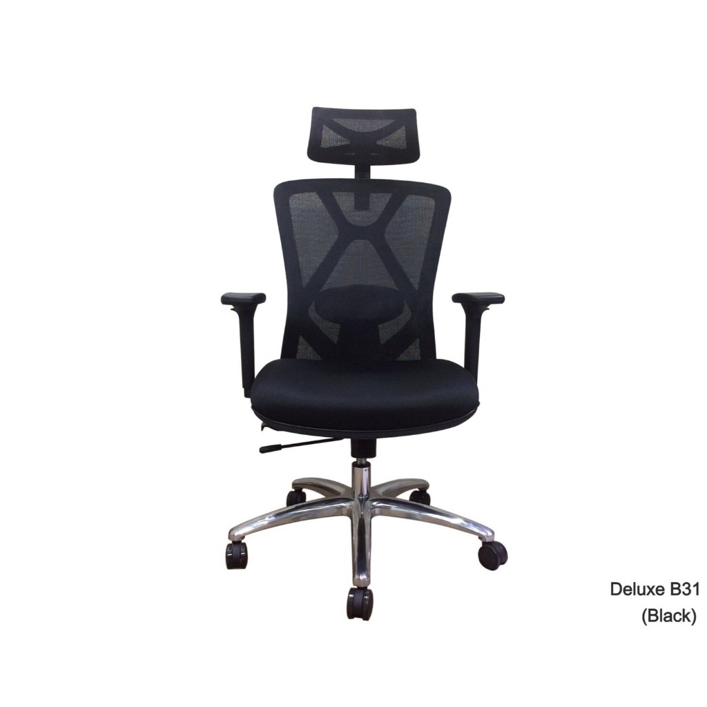 Deluxe-B31 High Back Mesh Chair/ Deluxe B31A XTM High Back Full Mesh Chair, Adjustable Backrest ...