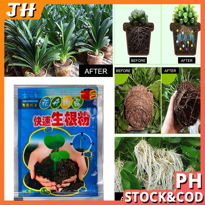 Rapid Root Power Plant Cutting Tree Root Power Rapid Root Grower Powder ...