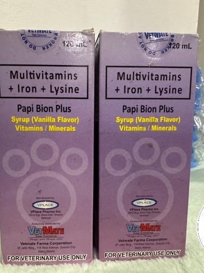 PAPI BION PLUS 120ml (Iron Supplement) | Shopee Philippines