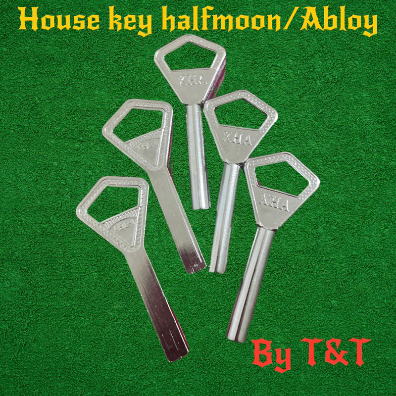 House key Solex Abloy halfmoon(10pcs) | Shopee Philippines