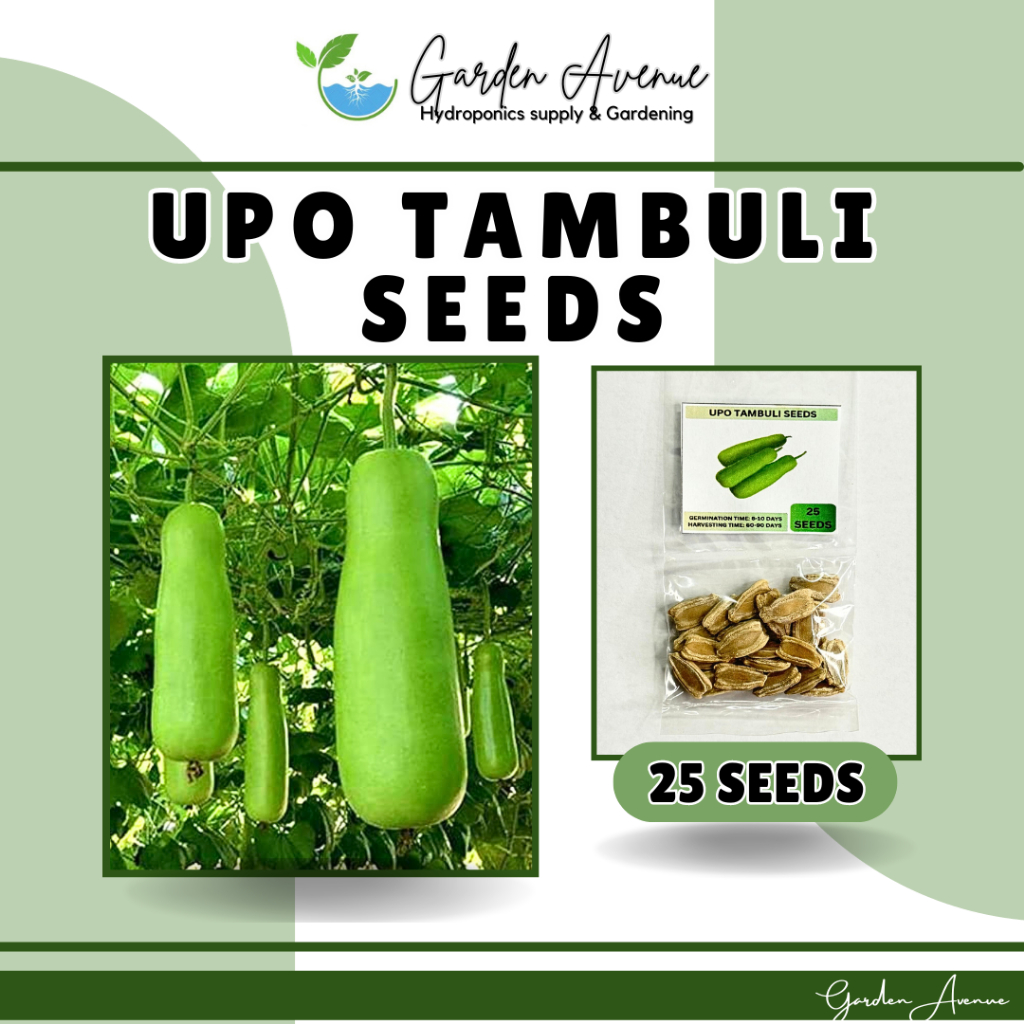 F1 UPO TAMBULI (25 SEEDS) SUPER LONG/BOTTLE GOURD/HIGH GERMINATION RATE ...