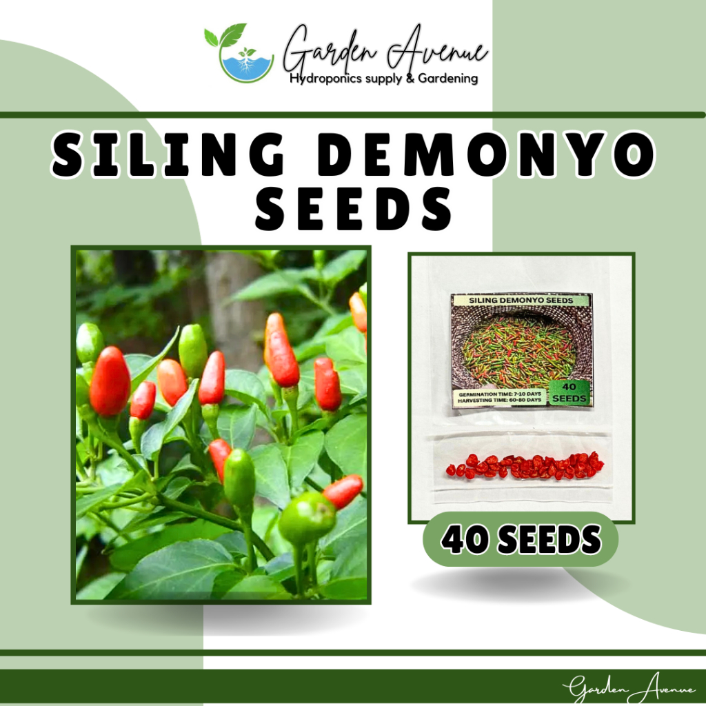 SULIT PACK! SILING DEMONYO (40 SEEDS) - NATIVE/SUPER HOT/FAST GROWING ...