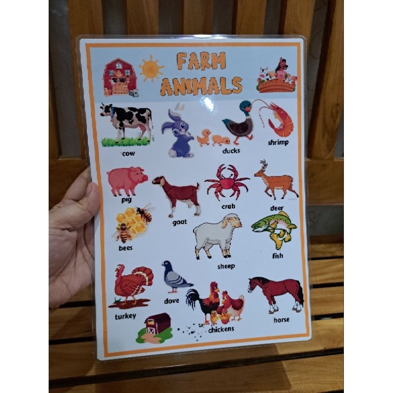 Animal Charts Laminated A4 bond paper size for kids(teacher pher ...