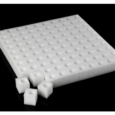 Soilless Hydroponic Vegetables Nursery Sponge Horticultural Foam (One ...