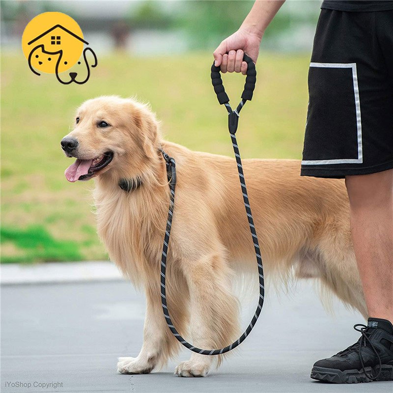 Strong Dog Leash with Padded Handle and Highly Reflective Threads Dog ...