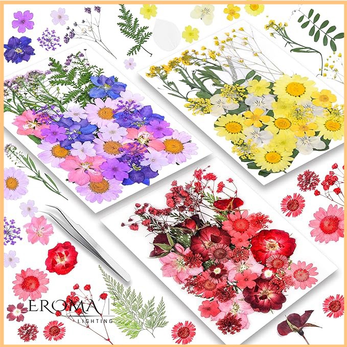 Dried Flower Materials Kit Real Embossed Botanical Specimens Epoxy Box ...