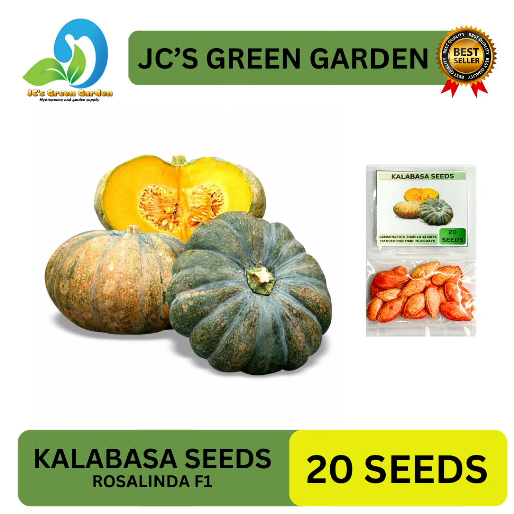 20 SEEDS - KALABASA SEEDS/ROSALINDA F1/FOR PLANTING/HIGH YIELDING ...