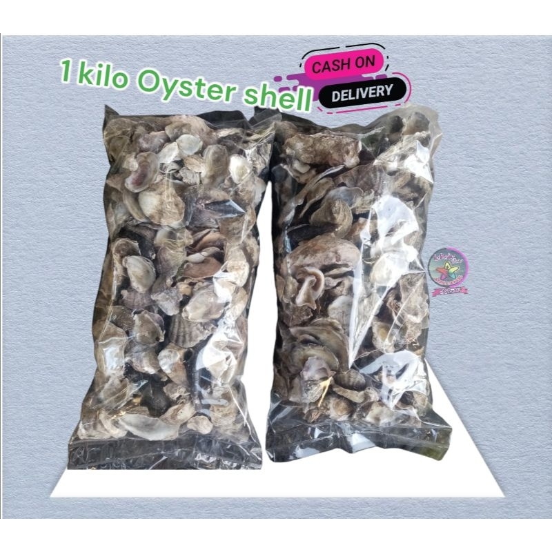 Oyster Shell Filter Media 1Kilo (TALABA SHELL for filter) | Shopee ...