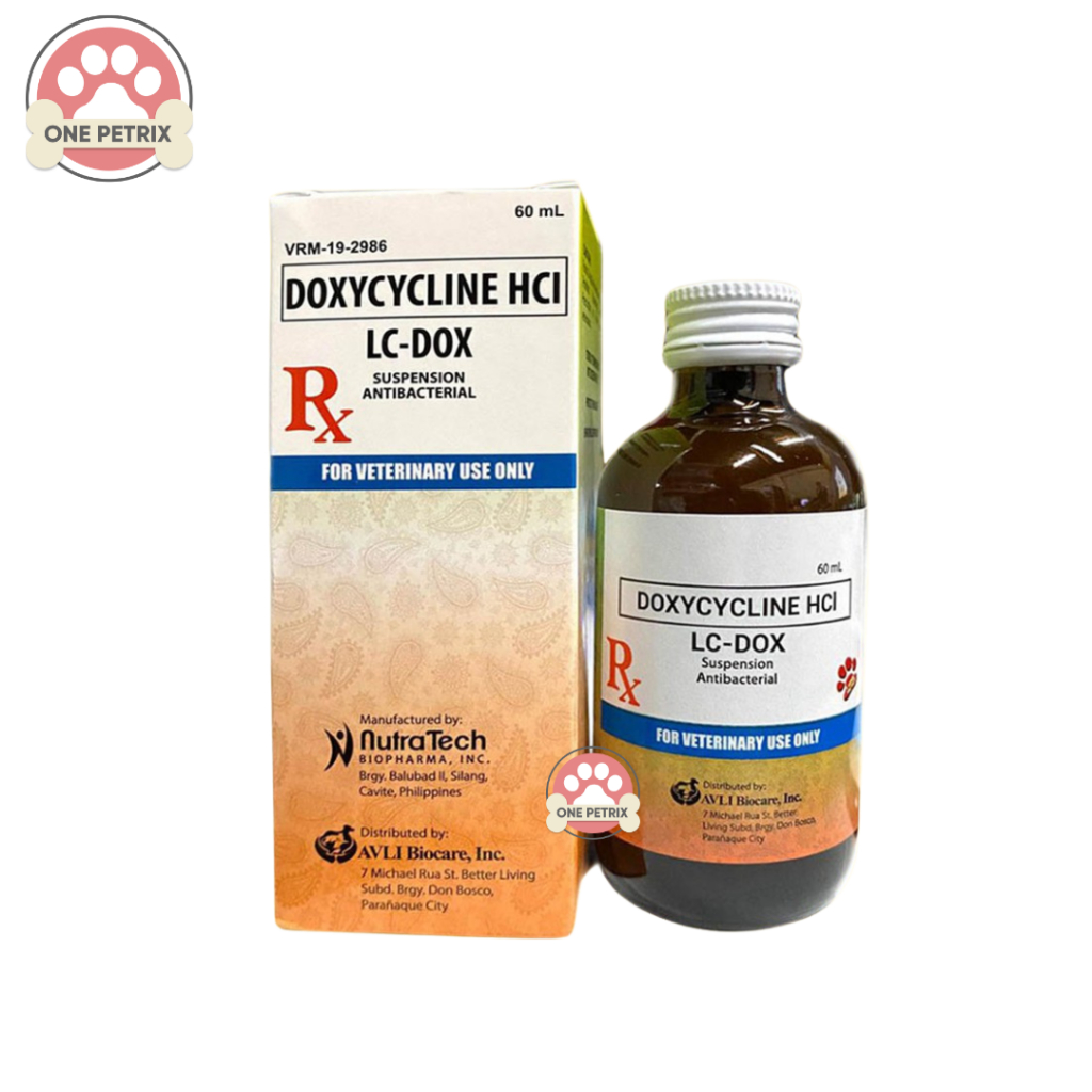 Lc - Dox Doxycline Antibacterial Oral Suspension (Caramel Flavor ...