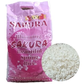 rice - Best Prices and Online Promos - Jan 2024 | Shopee Philippines