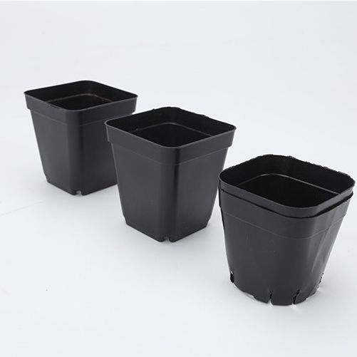 M&A PHC 12pcs Seedling Small Black Square Pots Nursery Plastic Flower ...