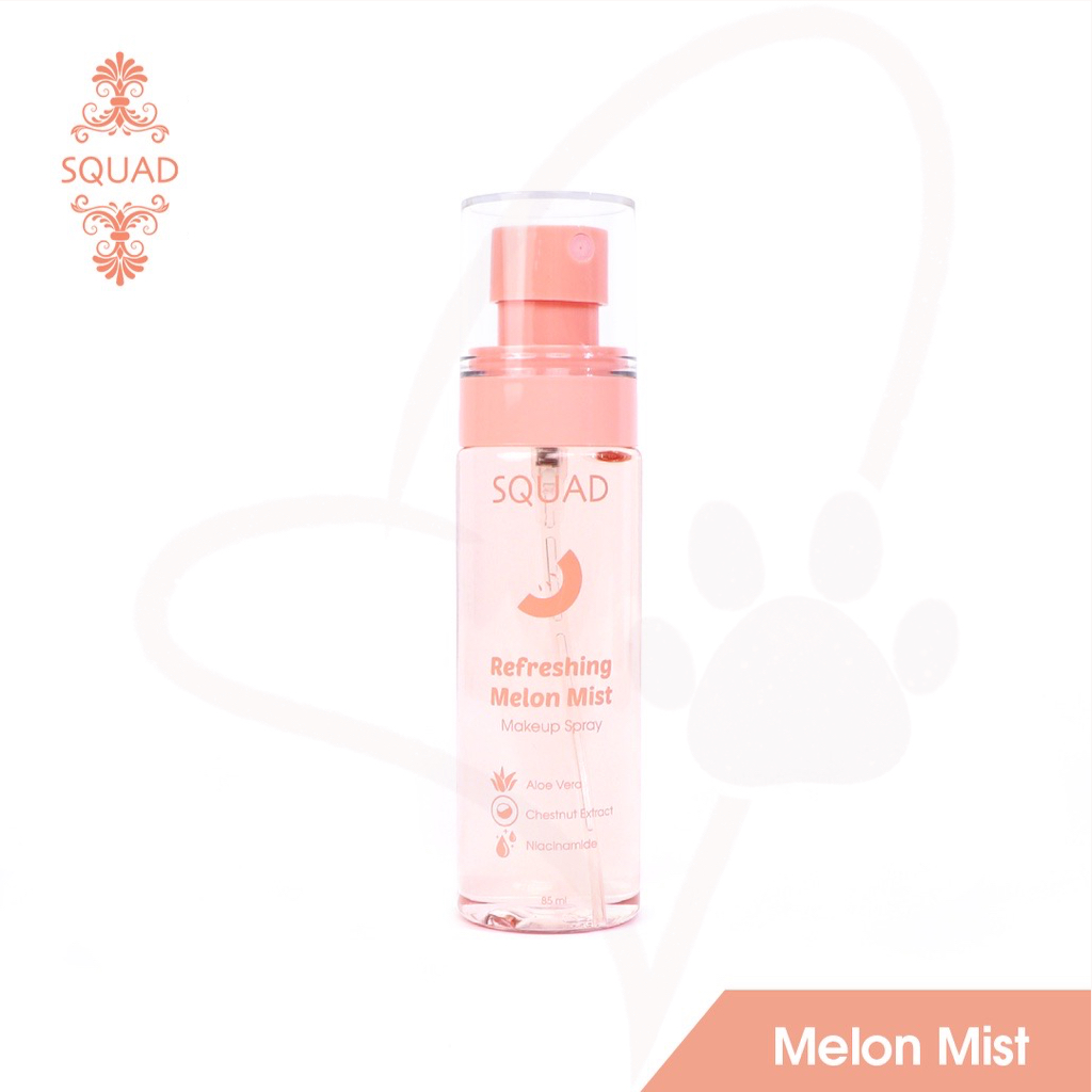 Squad Cosmetics Refreshing Melon Mist | Shopee Philippines
