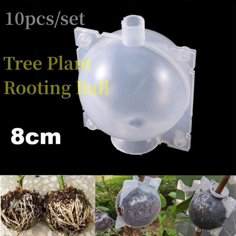 10Pcs Plant Rooting Ball 8CM Garden Plant Rooting Case Plant Rooting ...