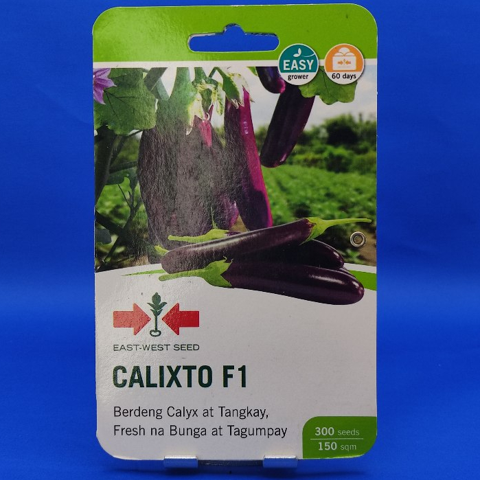 EAST-WEST SEED CALIXTO F1 HYBRID EGGPLANT SEEDS POUCH (300 SEEDS ...