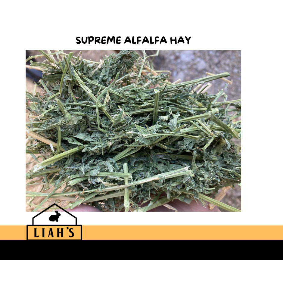 Supreme Alfalfa Hay (long strand leafy) 5kg | Shopee Philippines