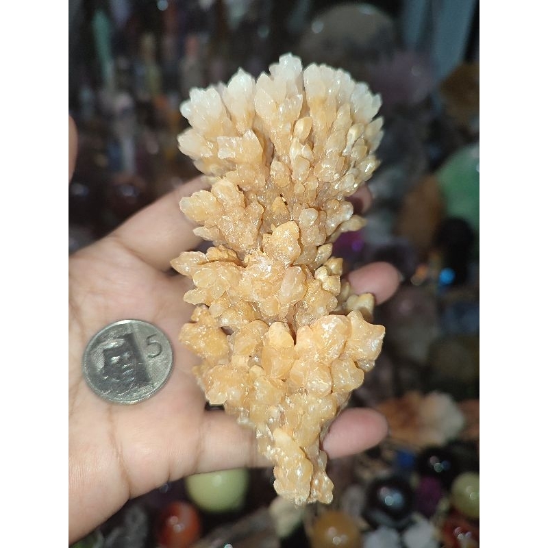 Stalactite Calcite (SOLD PER PIECE) | Shopee Philippines