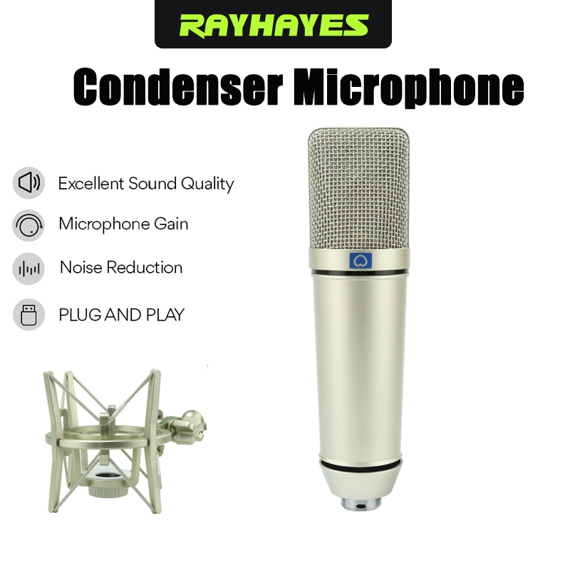 RAYHAYES Condenser microphone for professional studio Singer/microphone ...