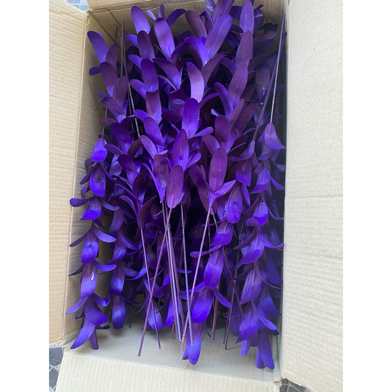 Kinayas (Violet - 50pcs) | Shopee Philippines