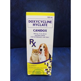doxycycline - Best Prices and Online Promos - Jul 2024 | Shopee Philippines