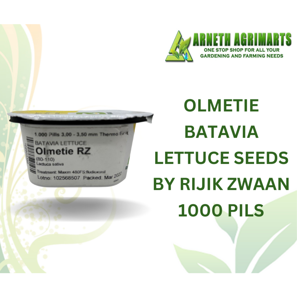 BATAVIA LETTUCE OLMETIE RZ THERMO PILL 1000 PILLS PELLETTED BY RIJK ...