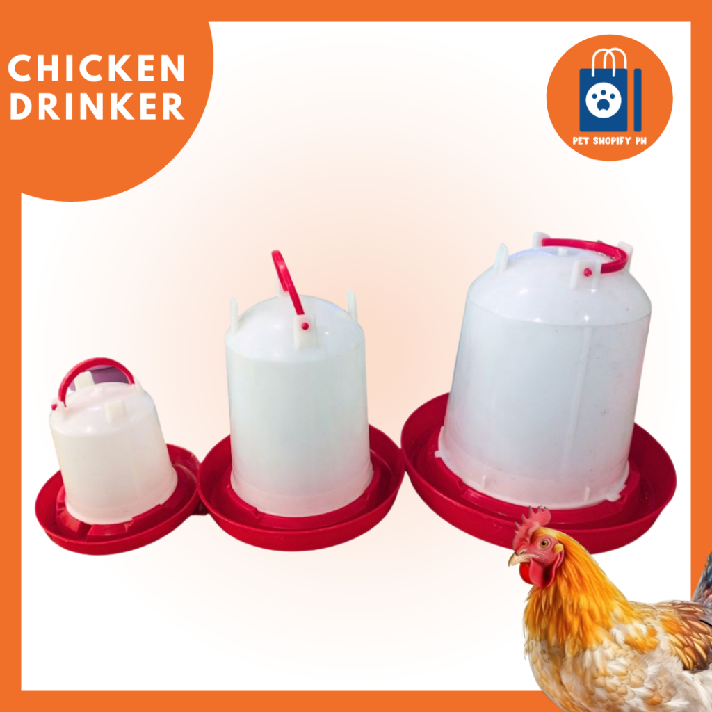 Automatic Chicken Drinker Poutlry Water Available in 1Liter 3Liters ...