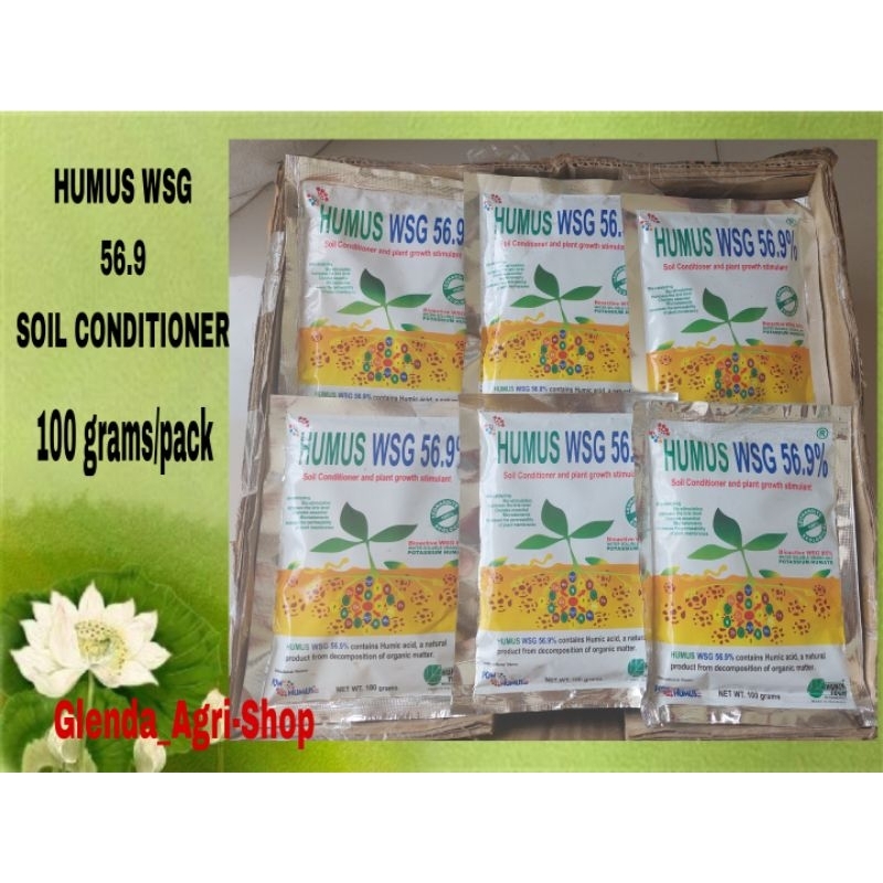 HUMUS WSG - 10 PACKS × 100 GRAMS 56.9% SOIL CONDITIONER (Made in ...