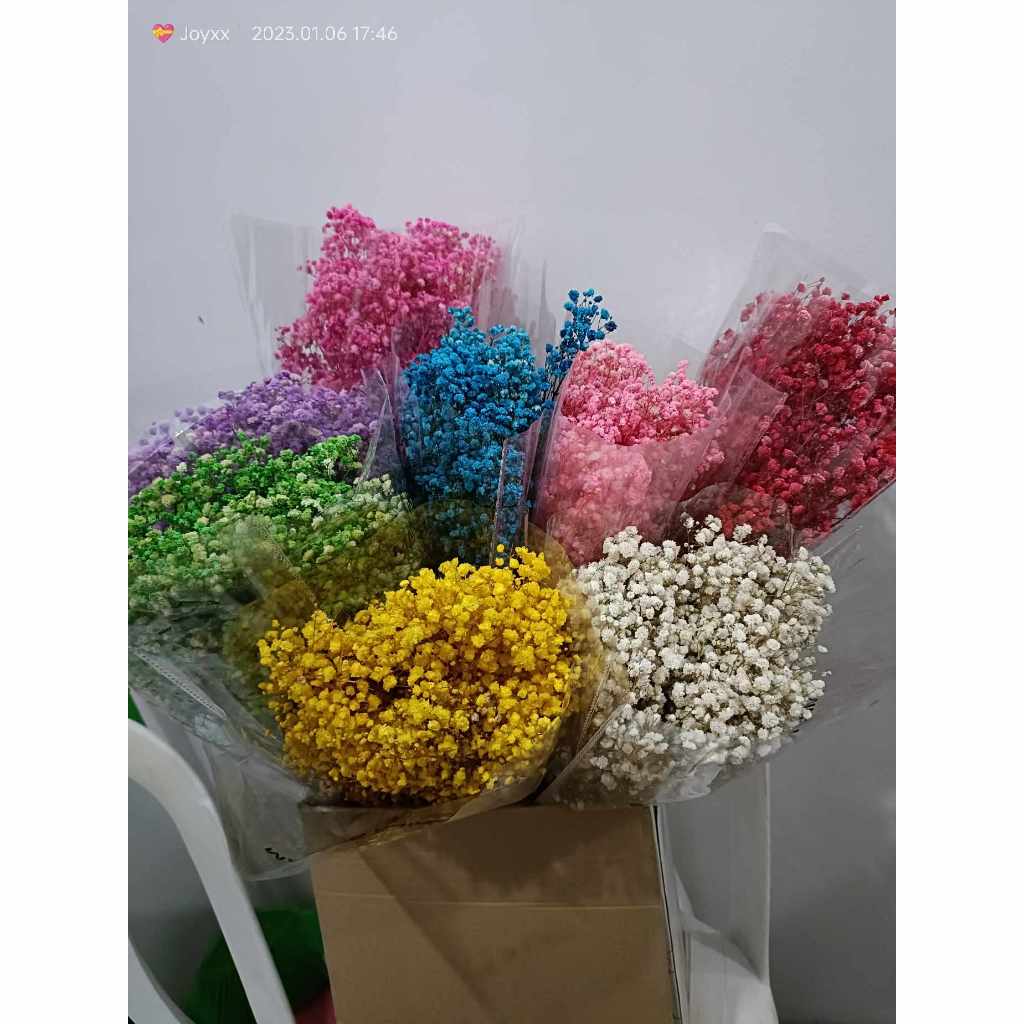 1 BOX dried flowers Gypsophila gypso | Shopee Philippines