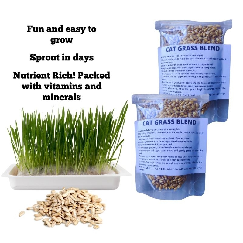 Pet Grass Seeds / Cat Grass Seeds 250 grams | Shopee Philippines