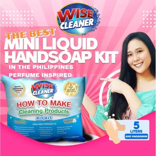 WISE CLEANER, Online Shop | Shopee Philippines