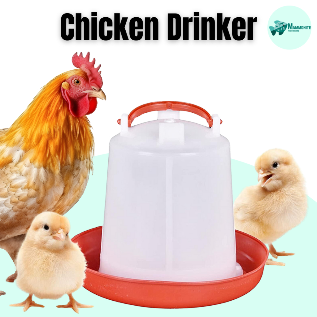 Automatic Chicken Drinker Poutlry Water Available in 750ml, 1.5L, 3 ...