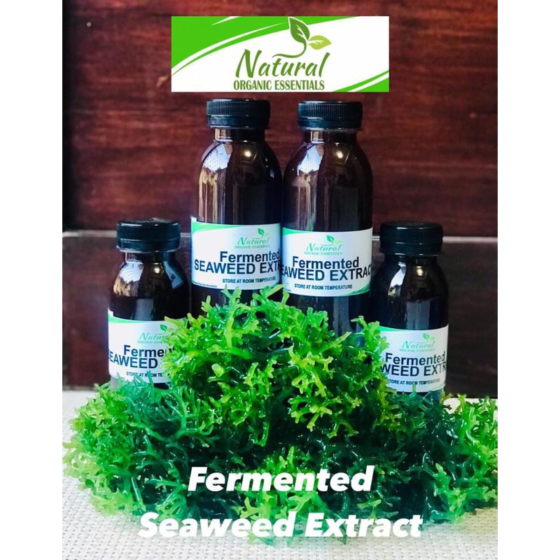 Fermented Seaweed Extract ( Natural Organic Essentials ) | Shopee ...