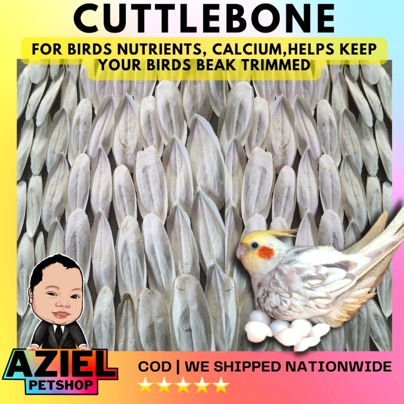 CUTTLEBONE for Birds (CALCIUM +PAMPA-ITLOG) | Shopee Philippines