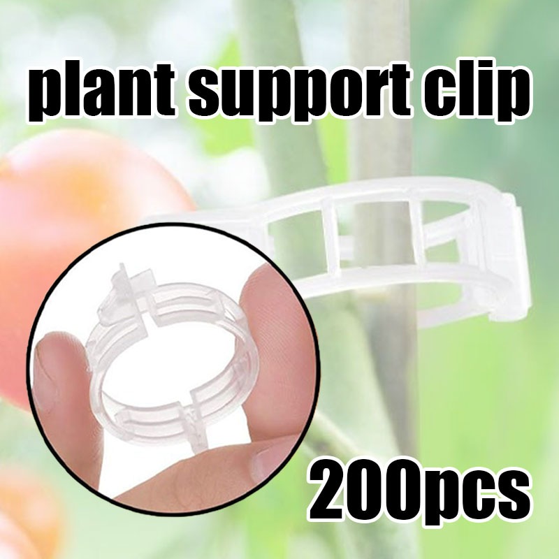 200 Pcs Transparent Plant Support Clips Greenhouse Vegetable Fastening ...