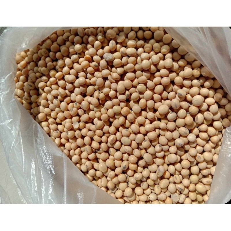 Soybeans, 1 kilo per pack | Shopee Philippines Soybeans, 1 kilo per pack | Shopee Philippines