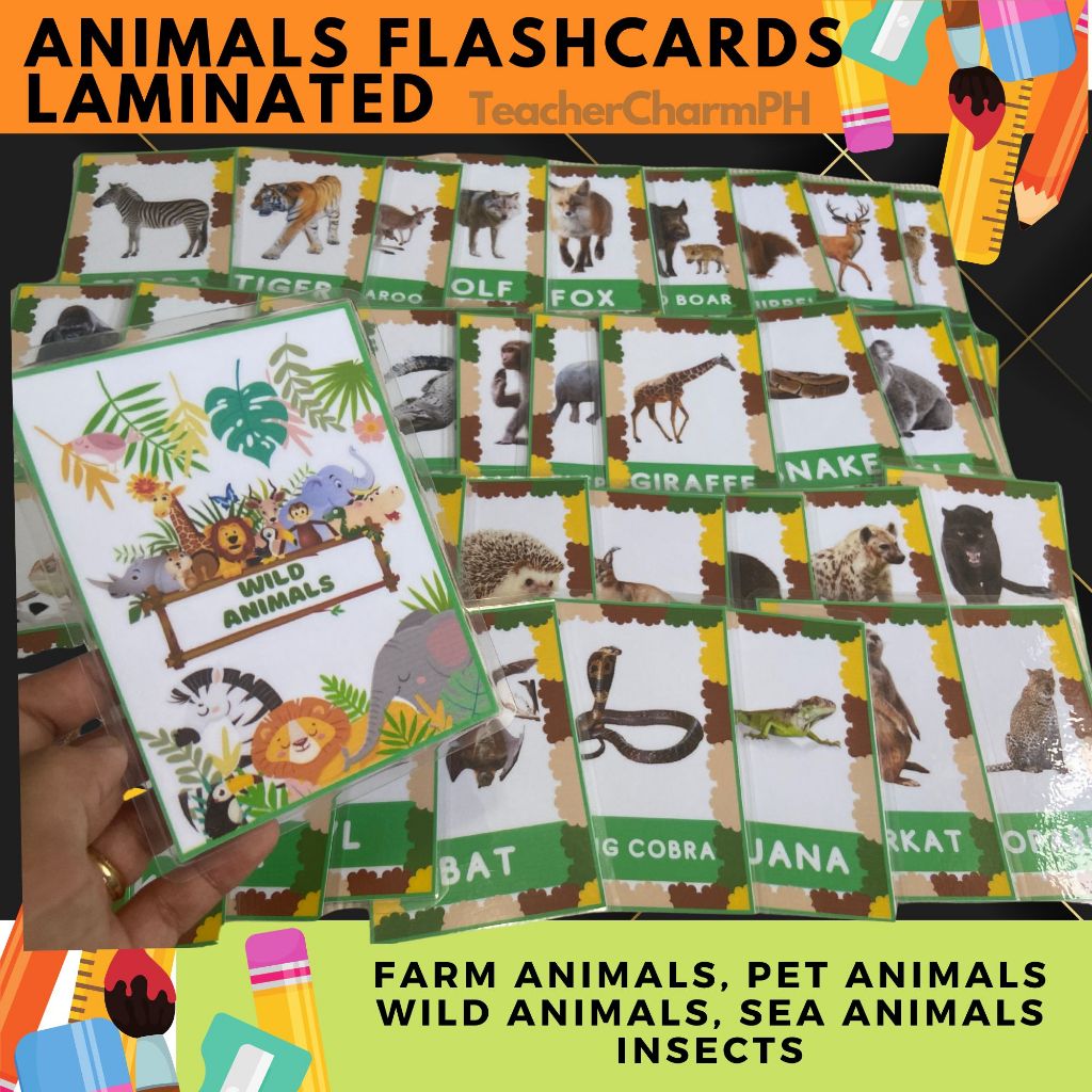 ANIMALS FLASHCARDS pet, farm, sea, wild animals & insects Laminated ...