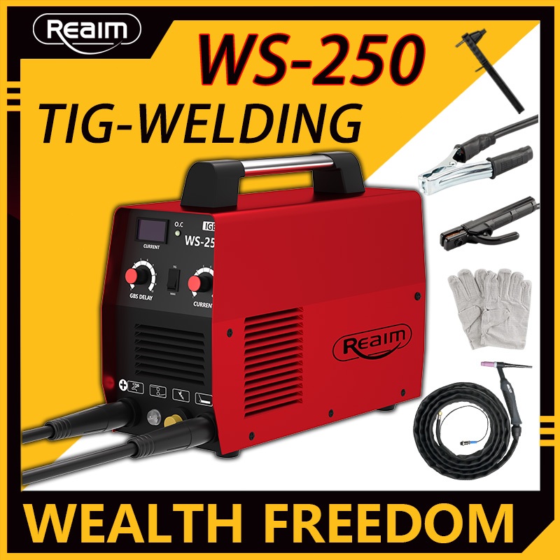 REAIM TIG Welding Machine Inverter Portable Arc MMA/TIG 2in1 Welder ...